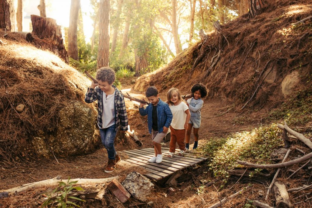 Qué es el ÁRBOL de los VALORES y su aplicación en el aula de infantil