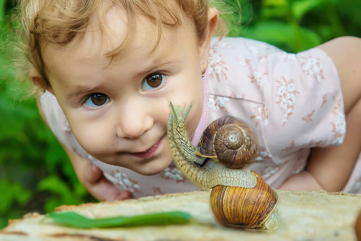 Los niños hikikomori o niños caracol, y el aislamiento social