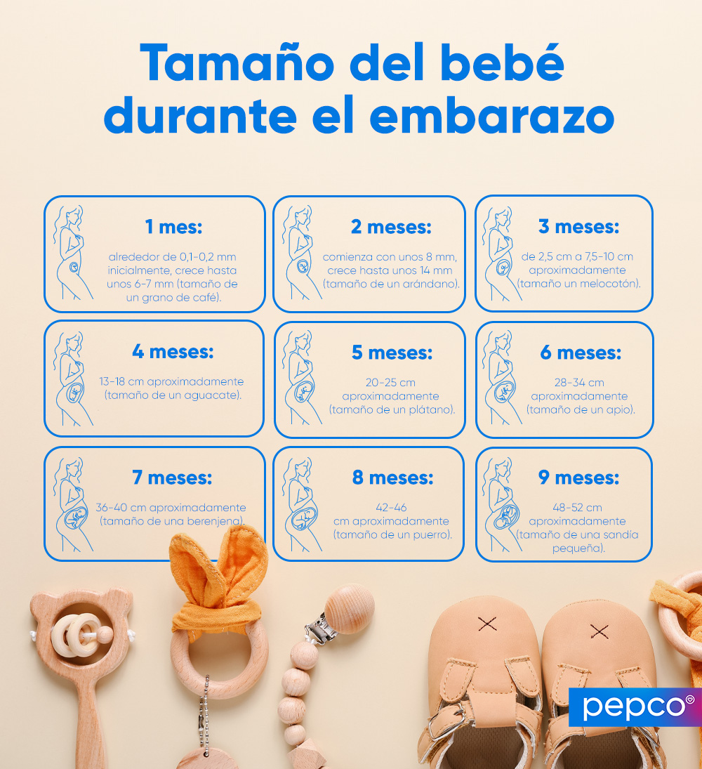 El calendario de tu embarazo: ¡conoce las distintas fases!| Pepco