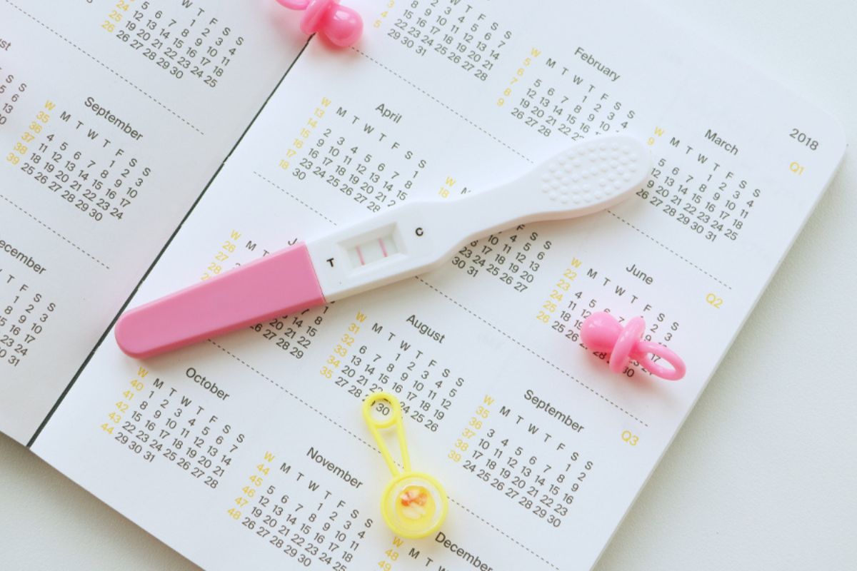 El calendario de tu embarazo: ¡conoce las distintas fases!| Pepco